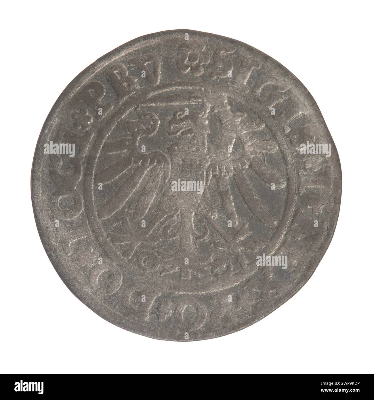 Penny coin from Elbląg issued under King Zygmunt I Stary of Poland in ...