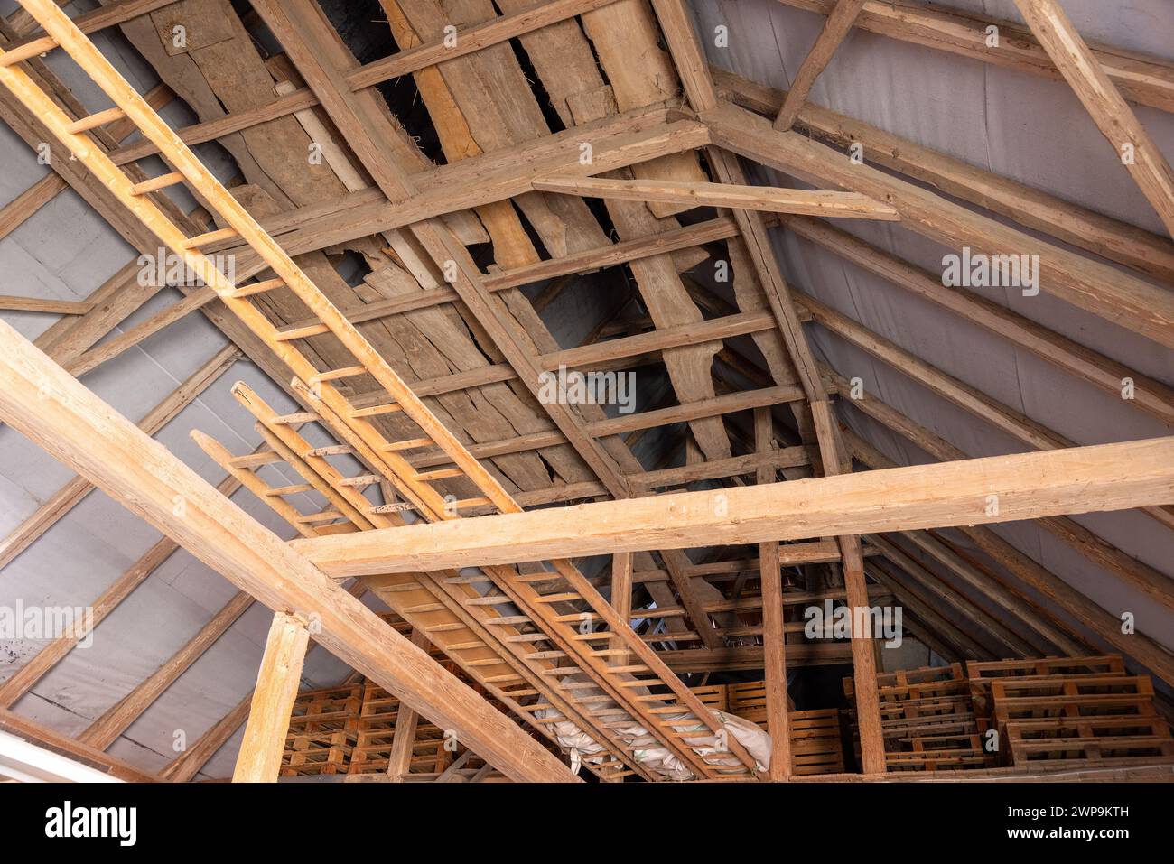 Attic of a barn with waterproofing and various pallets and wooden boxes ...