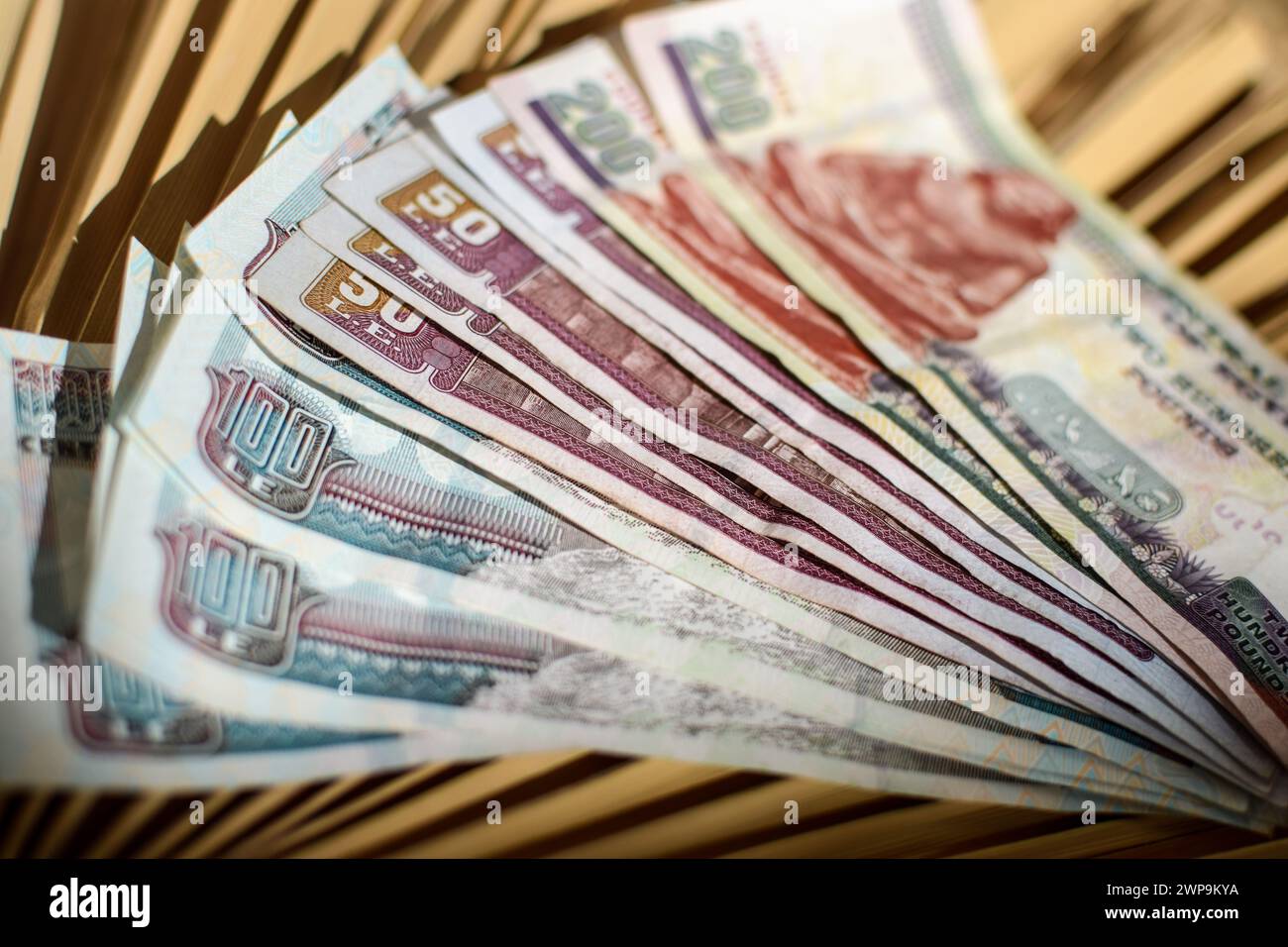 Egyptian pound egp hi-res stock photography and images - Alamy