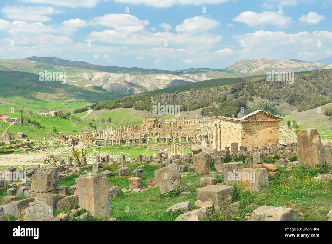 Temple of Severus in the Roman city of Cuicul, Algeria Stock Photo - Alamy