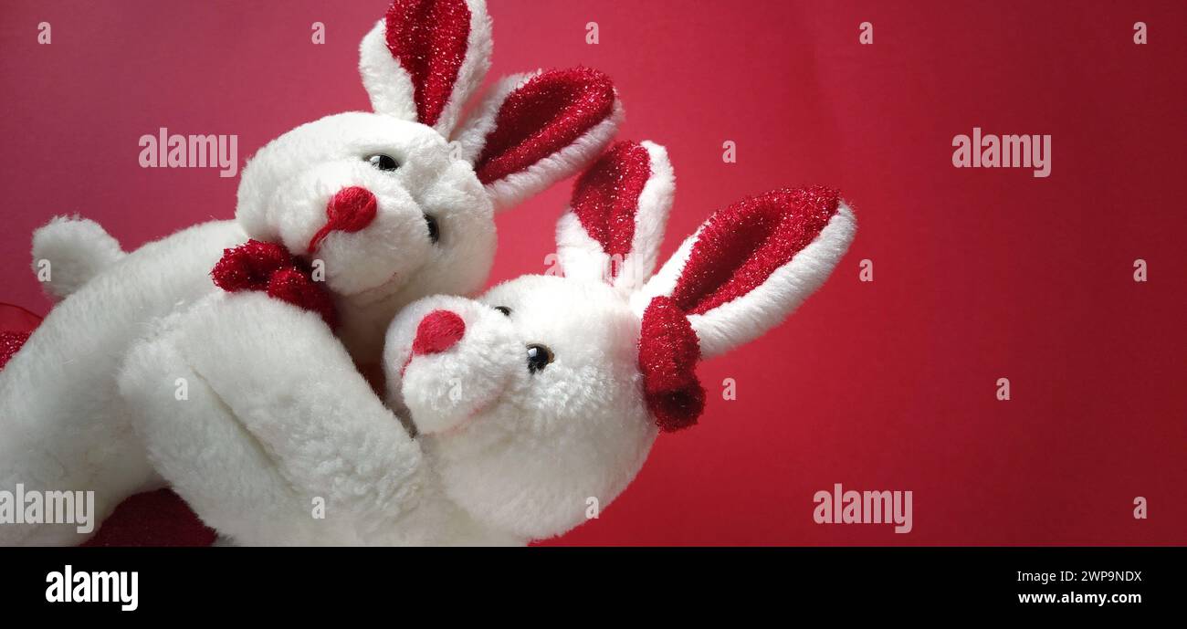 Cute easter couple rabbit heart hi-res stock photography and images - Alamy