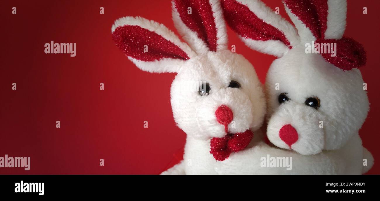 Cute easter couple rabbit heart hi-res stock photography and images - Alamy