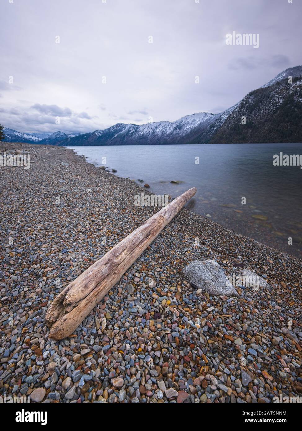 Water soaked log hi-res stock photography and images - Alamy