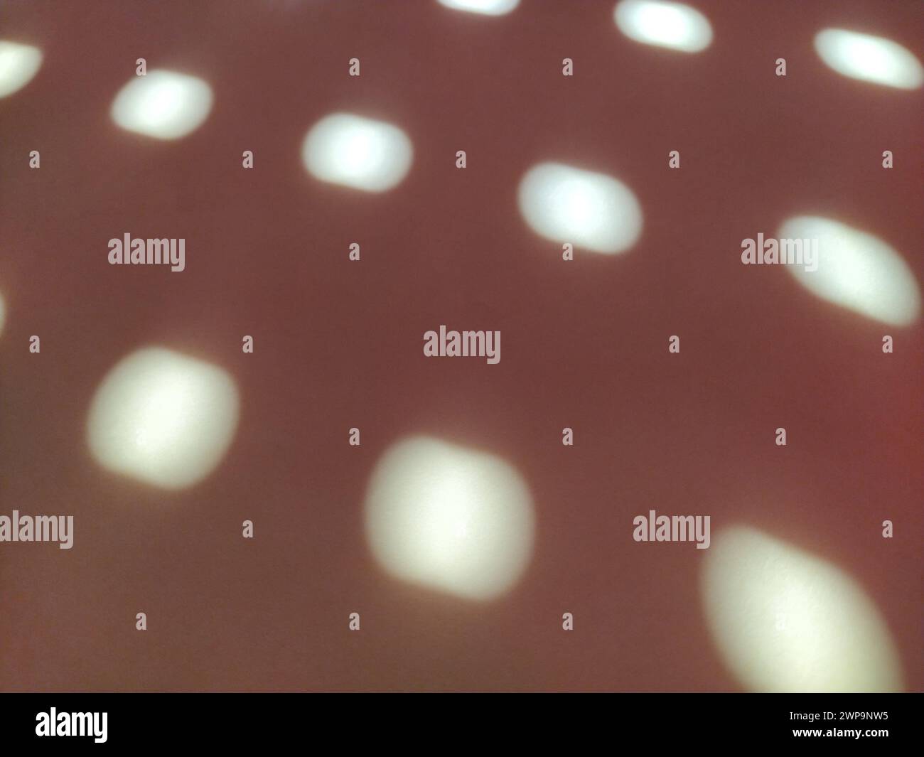 Red background with polka dots. Rays of the sun shining through the ...