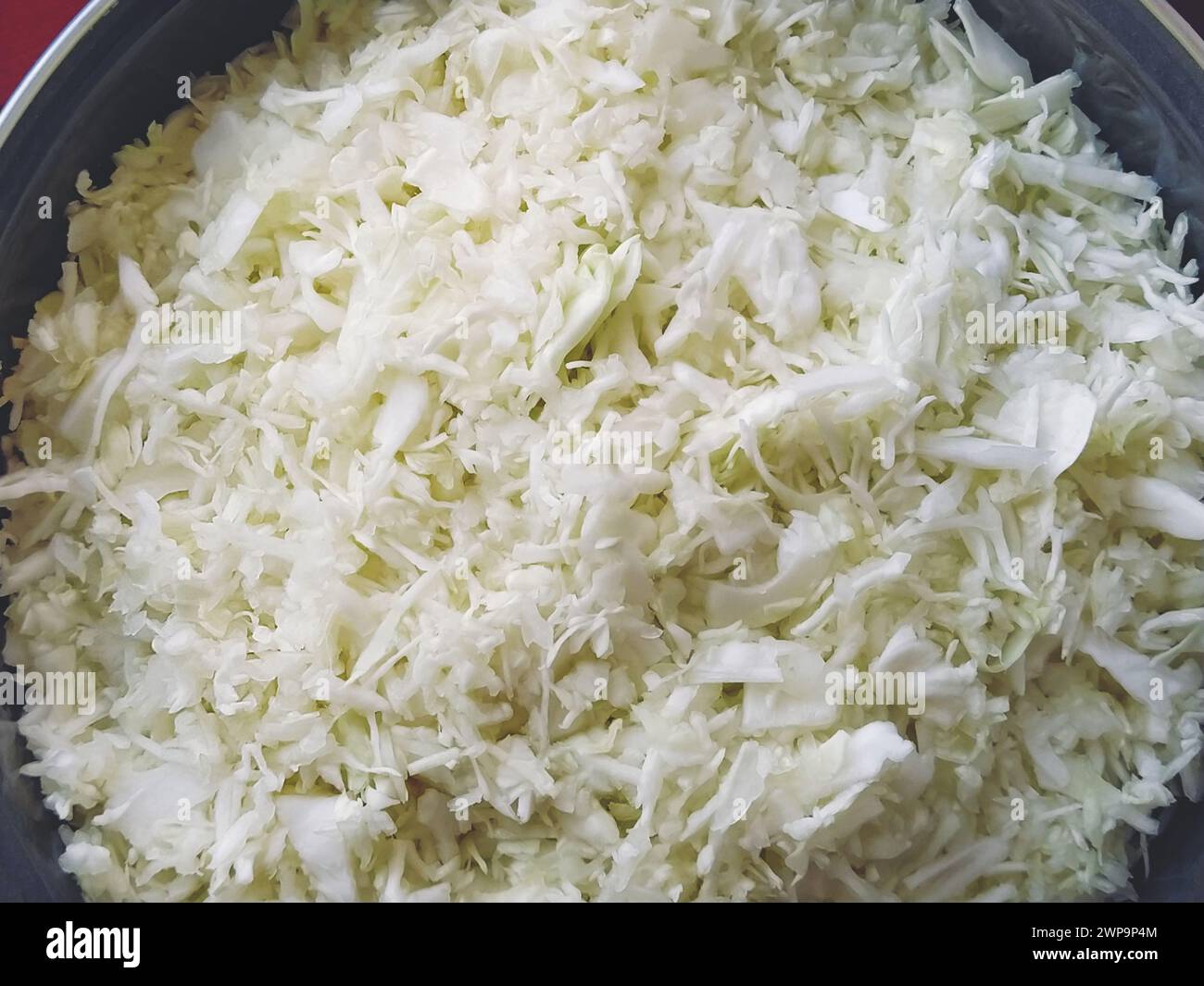 Shredded white cabbage in a saucepan. Close-up of green vegetable salad ...