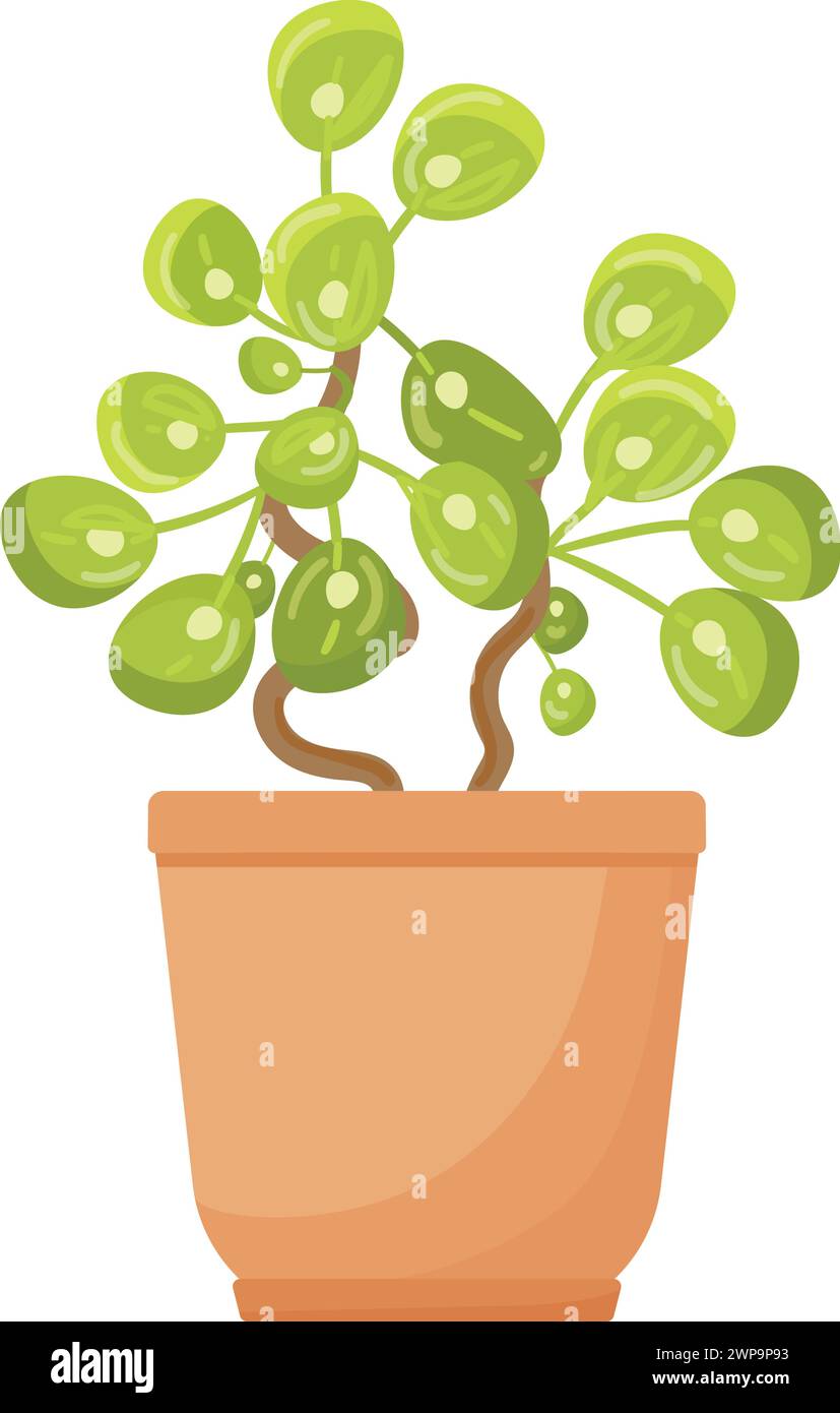 Gardenia houseplant Stock Vector Images - Alamy