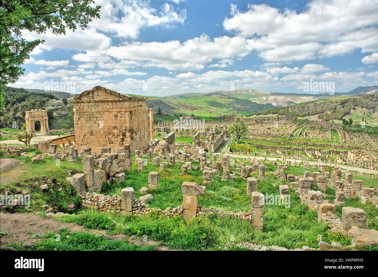 Temple of Severus in the Roman city of Cuicul, Algeria Stock Photo - Alamy