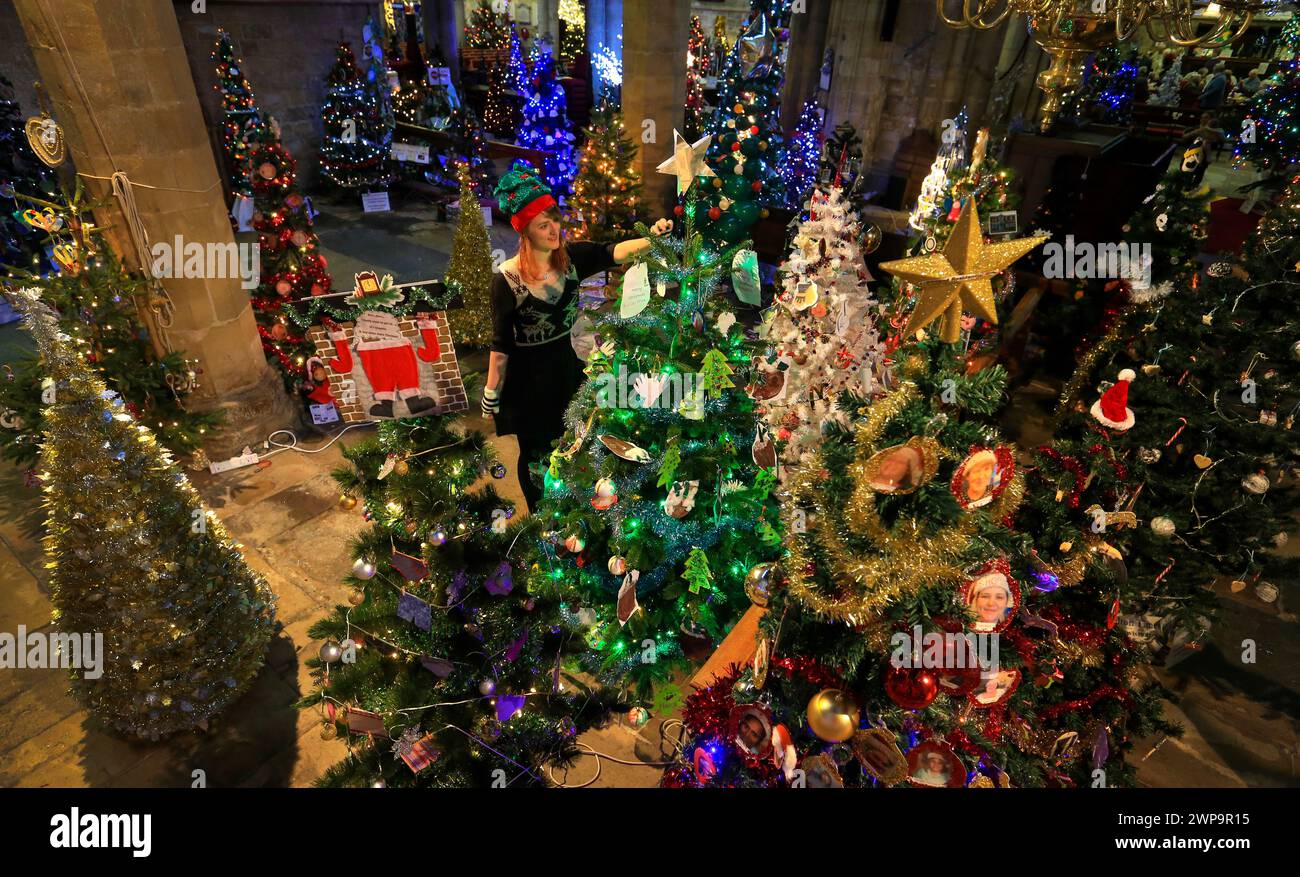 02/12/13 Hannah Nutter, 21, puts the finishing decorations on a tree at ...