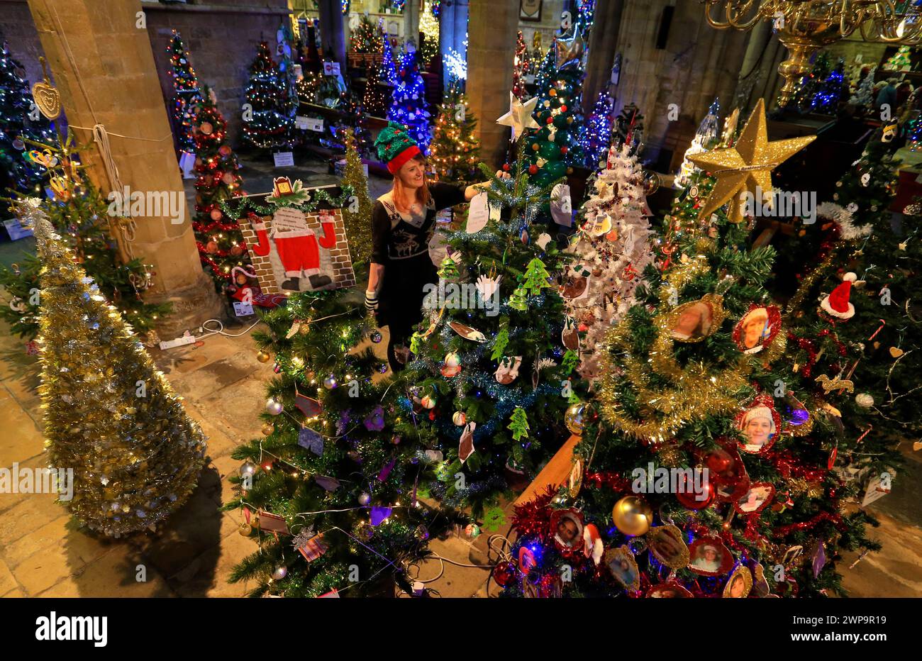 02/12/13 Hannah Nutter, 21, puts the finishing decorations on a tree at ...