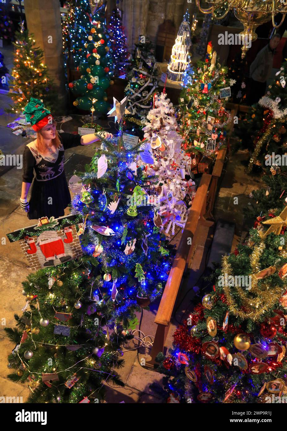 02/12/13 Hannah Nutter, 21, puts the finishing decorations on a tree at ...