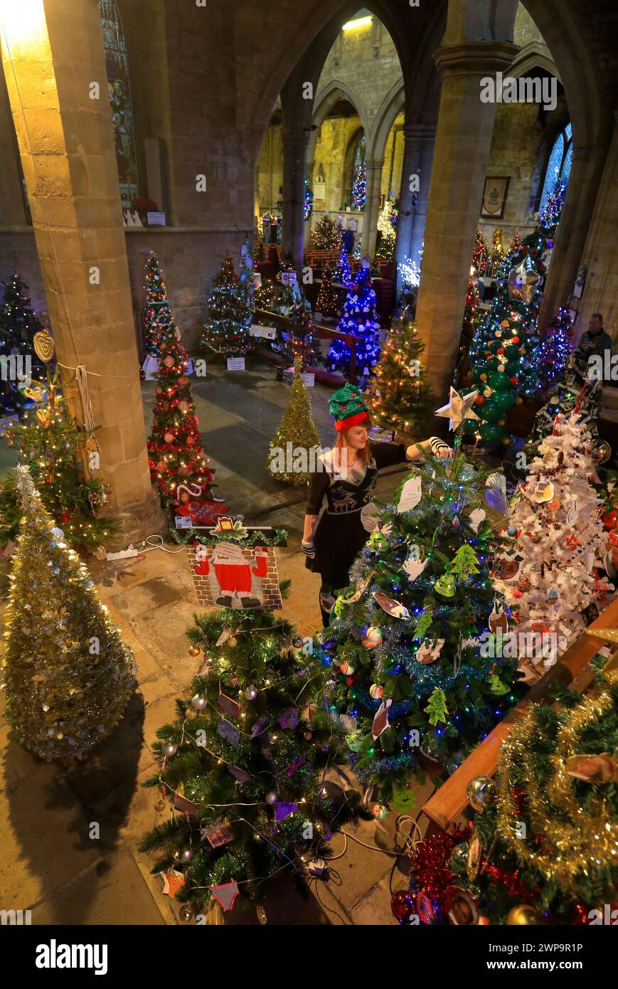 02/12/13 Hannah Nutter, 21, puts the finishing decorations on a tree at ...