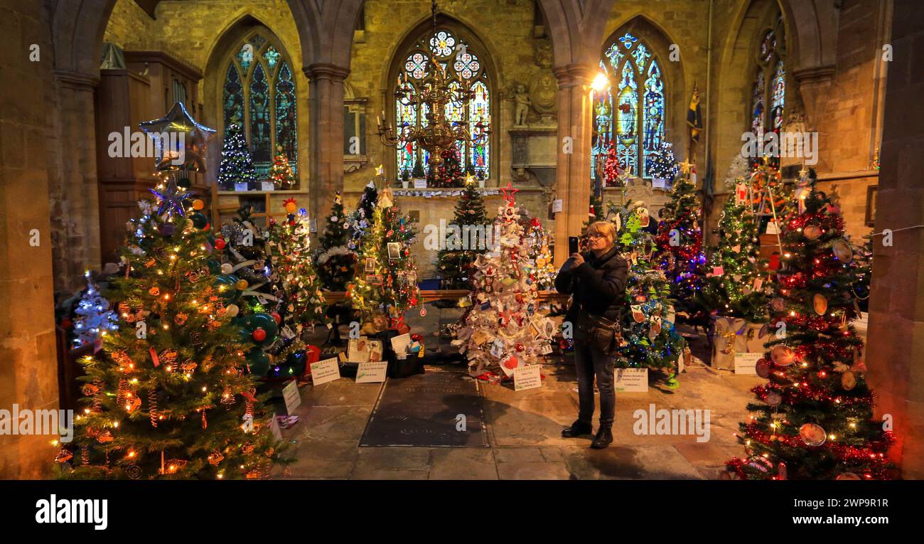 02/12/13 Hannah Nutter, 21, puts the finishing decorations on a tree at ...