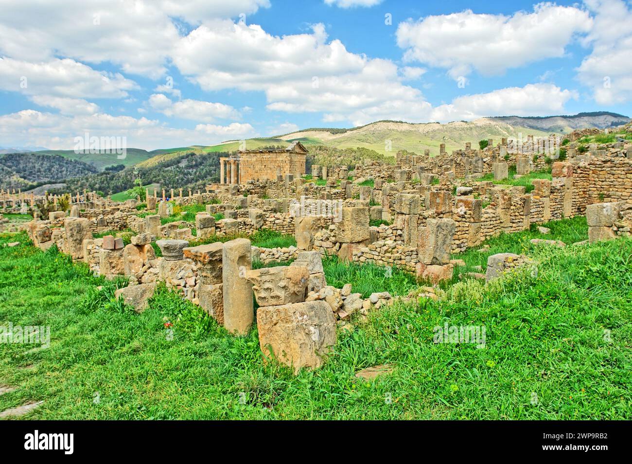 Temple of Severus in the Roman city of Cuicul, Algeria Stock Photo - Alamy