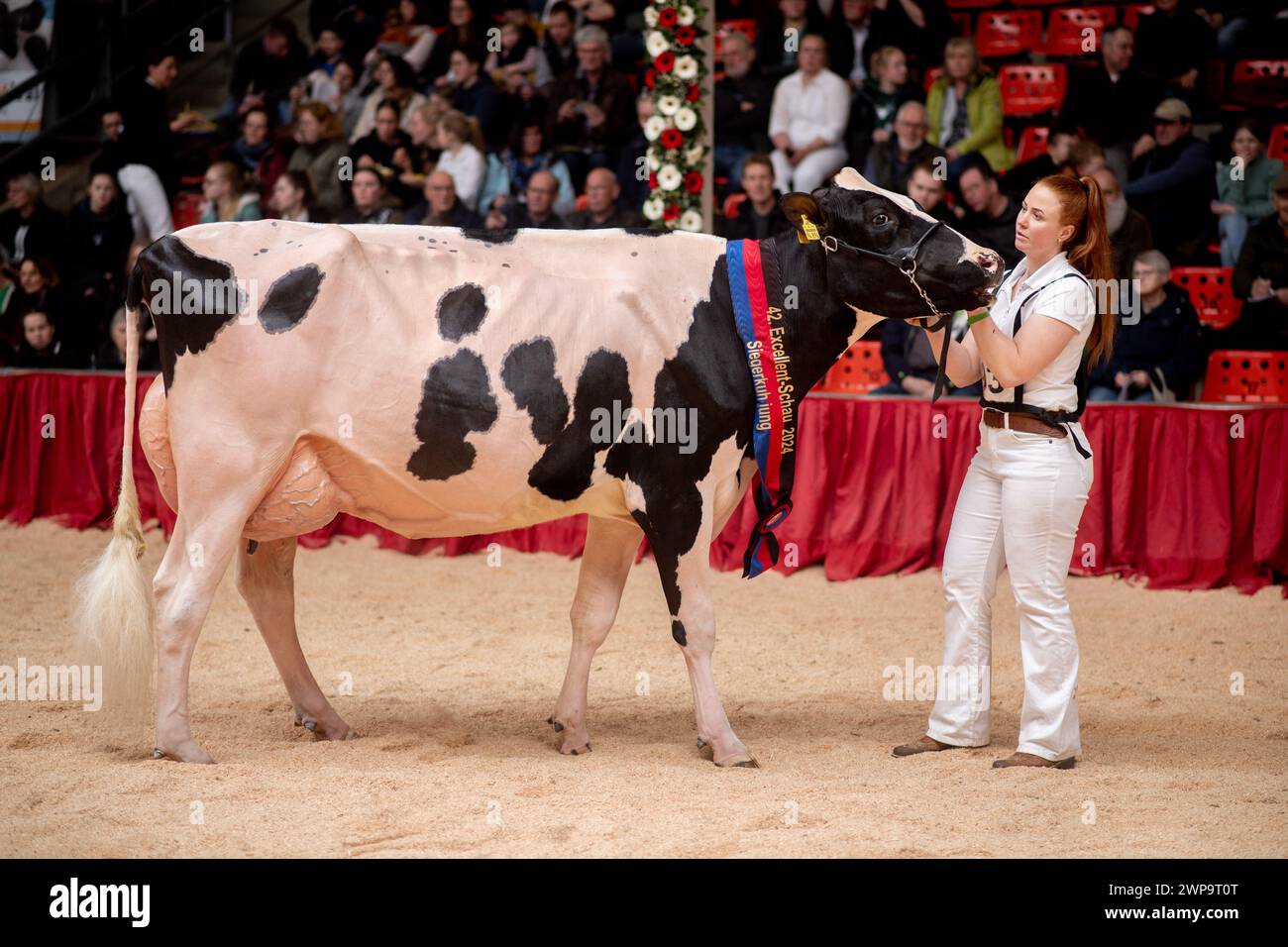 Leer, Germany. 06th Mar, 2024. Anna Hobbie, cattle breeder from ...