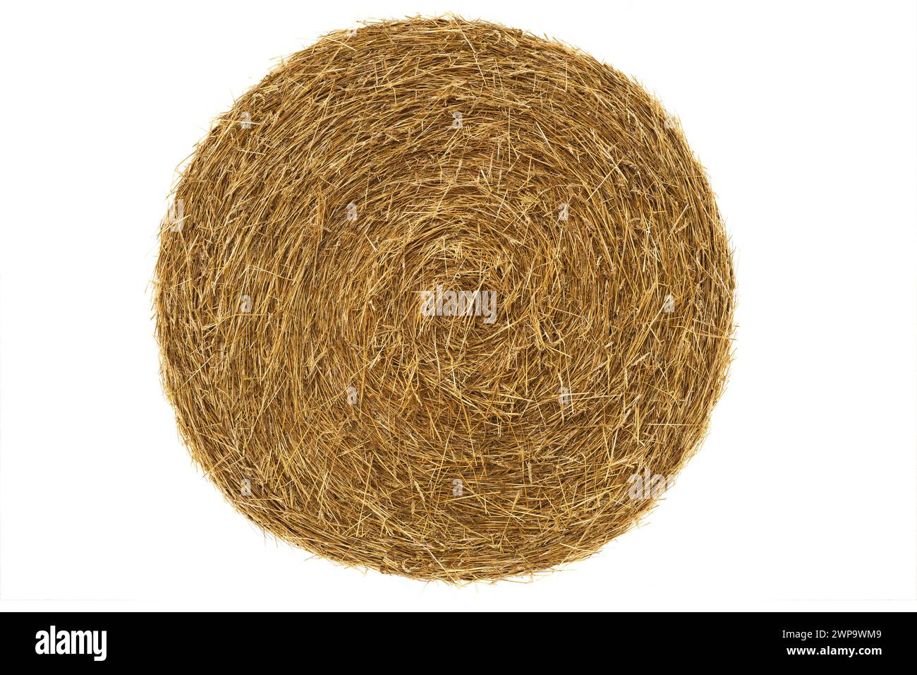 Round hay bale isolated on a white background Stock Photo - Alamy
