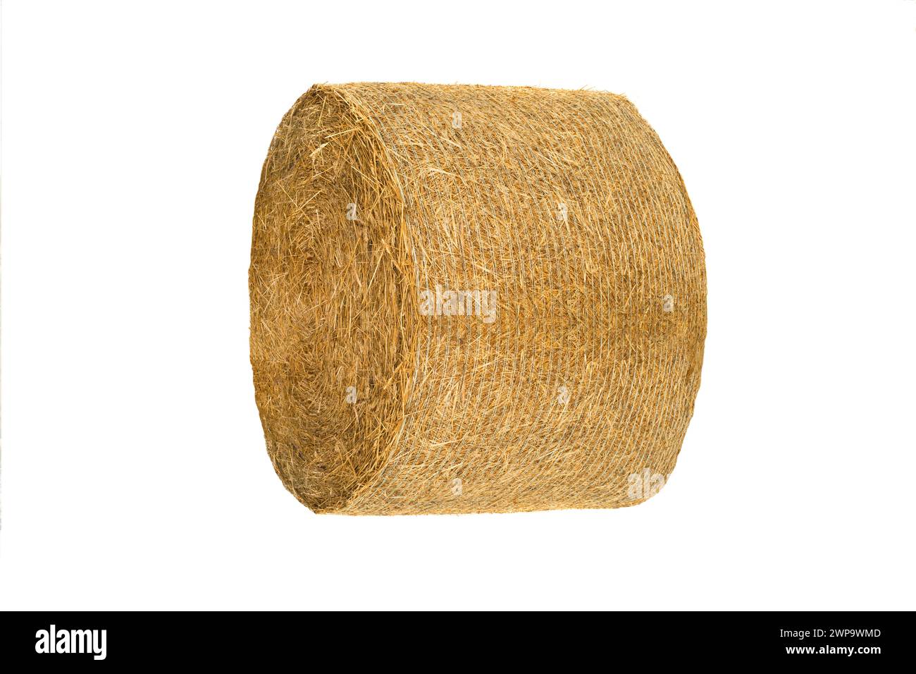 Round hay bale isolated on a white background Stock Photo - Alamy