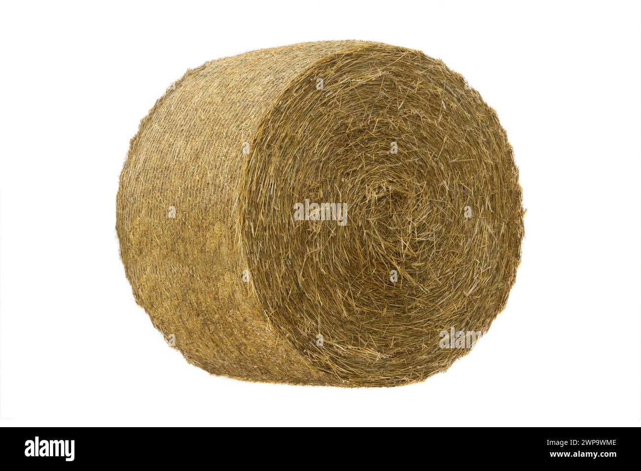 Round hay bale isolated on a white background Stock Photo - Alamy