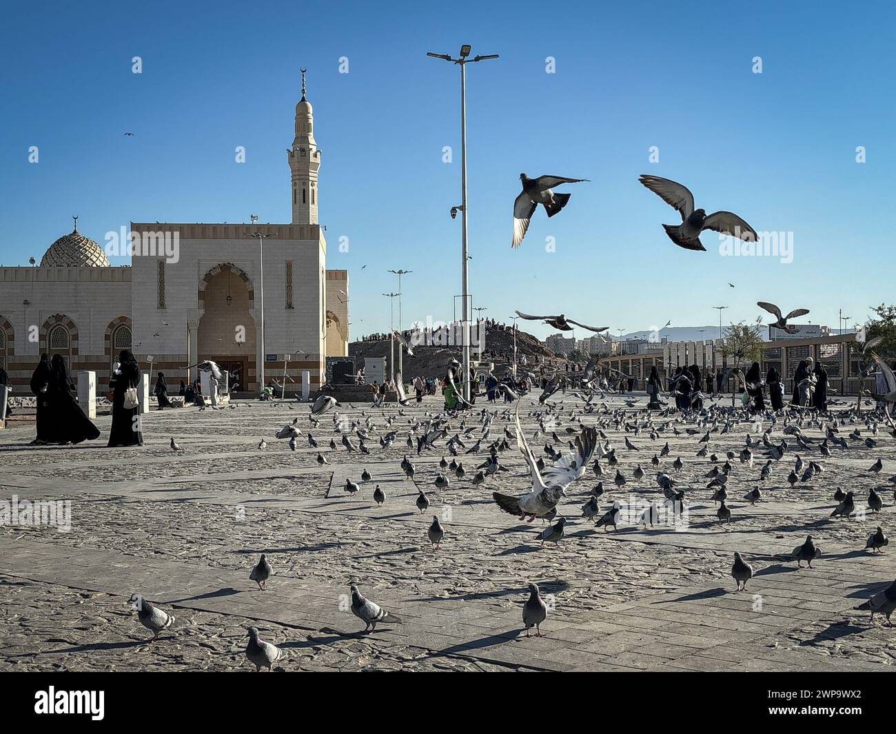 Saudia Arabia, Madinah, 2024-02-12. Daily life in Saudi Arabia. Since ...