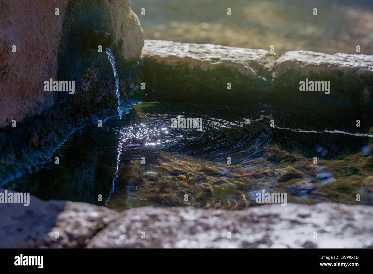 crystal-clear, sunlit water spring flowing in a pomegranate tree trough ...