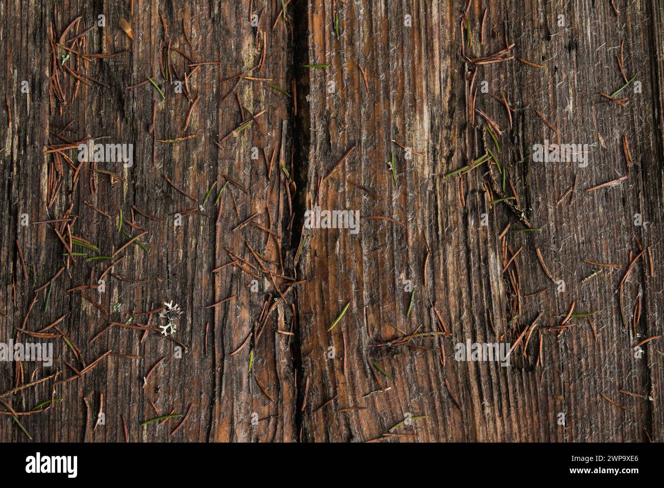 graphic wood texture for your design Stock Photo - Alamy