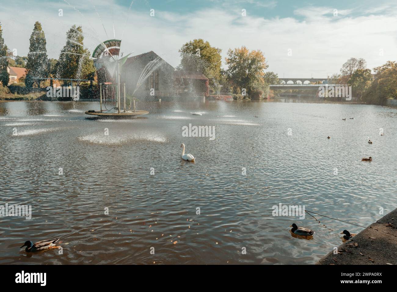 City fountain and pond with swan and ducks in Old European City ...