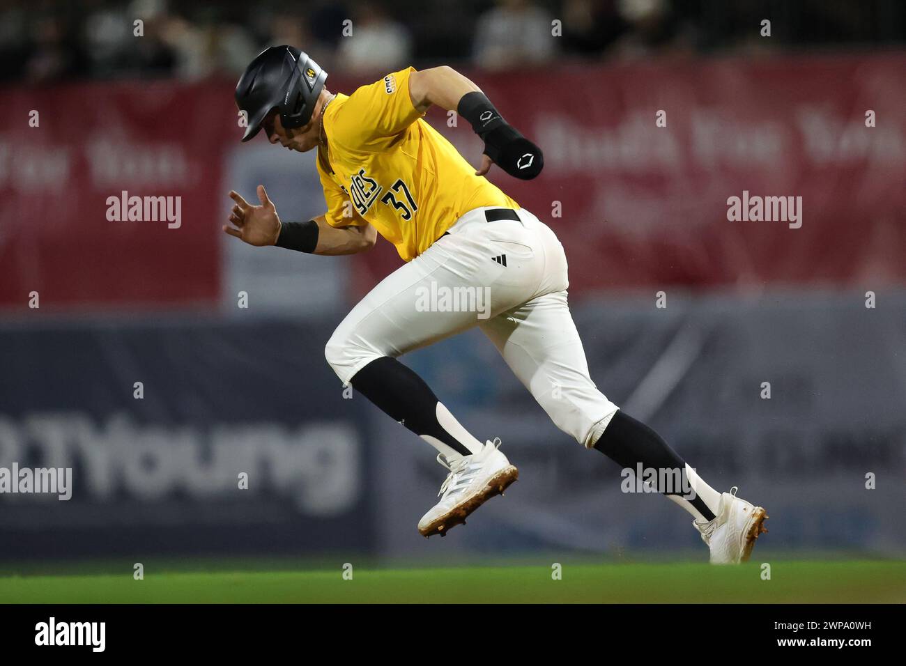 Southern Miss, USA. 05th Mar, 2024. outfielder Carson Paetow (37 ...