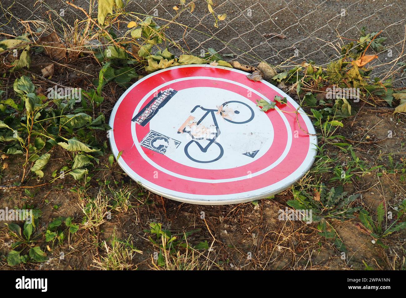 Aftermath of the hurricane 07,19,23 Sremska Mitrovica, Serbia. Broken ...