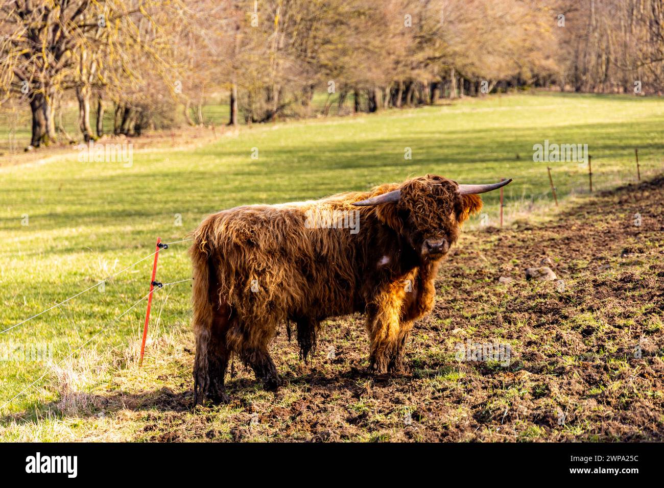 Spring hike through the unique Werra Valley near Vacha - Thuringia ...