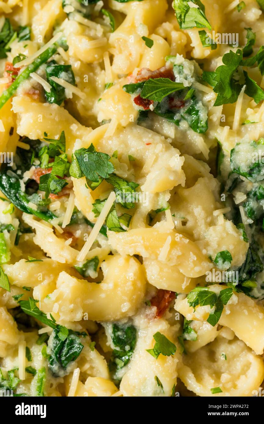 Healthy Homemade Cavatappi Pasta with Tomatoes Spinach and Basil Stock ...