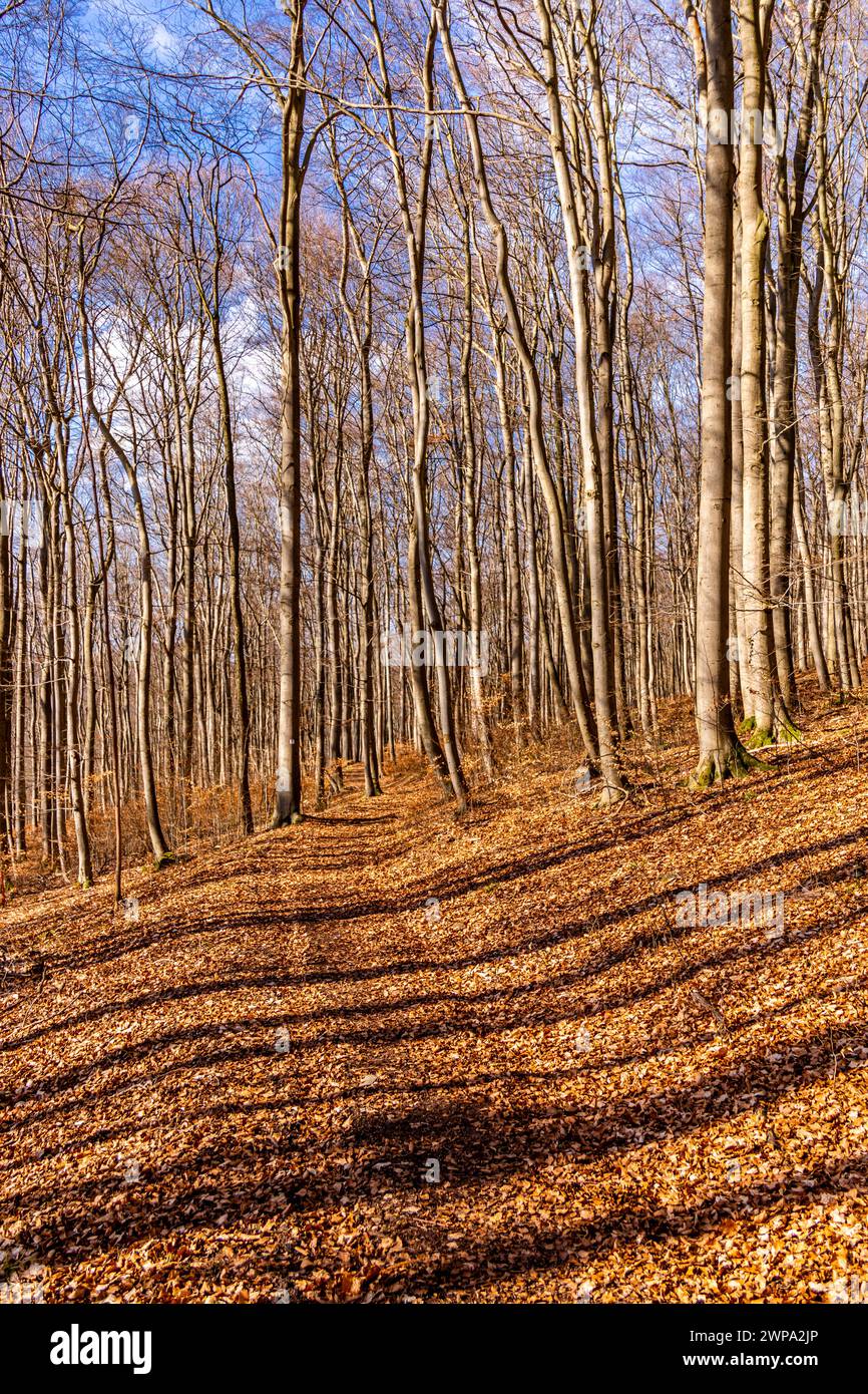 Spring hike through the unique Werra Valley near Vacha - Thuringia ...