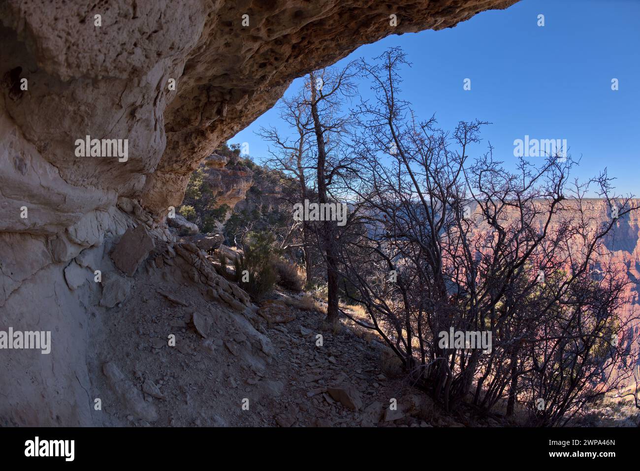 The sheer cliffs between Pima Point and Hermits Rest at Grand Canyon ...