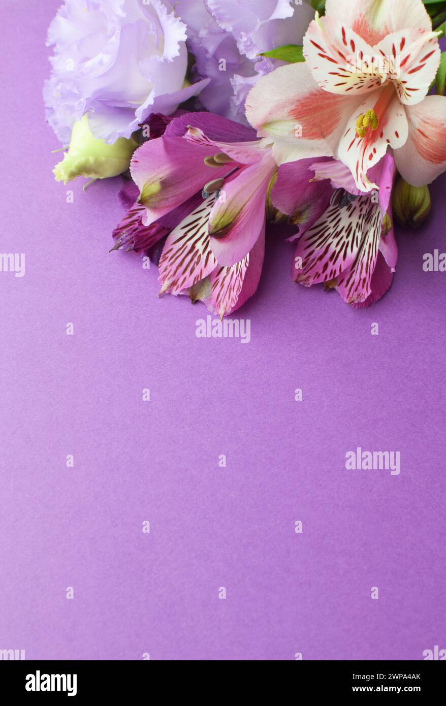 Beautiful flowers of eustoma (lisianthus) and alstroemeria. Bouquet of ...