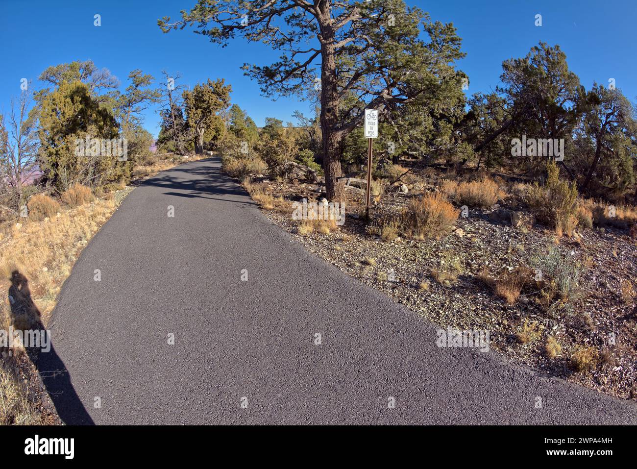 The Greenway Trail that runs between Pima Point and Monument Creek ...
