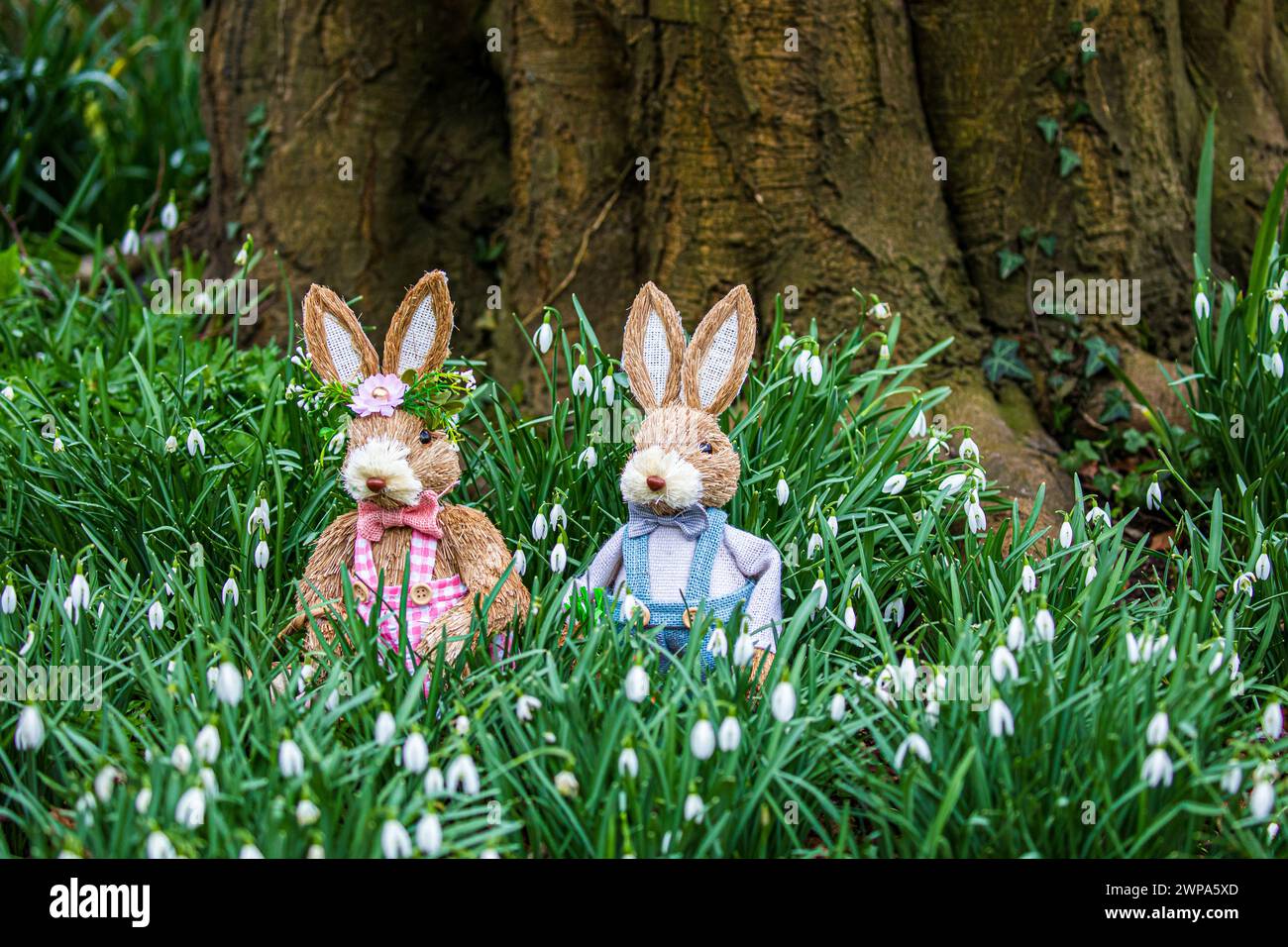 Chldrens story hi-res stock photography and images - Alamy