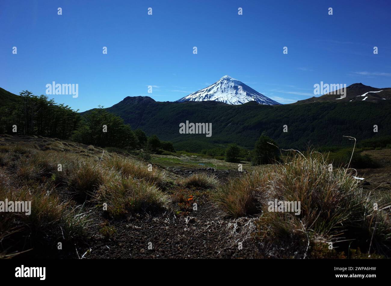 Volcano Lanin, Beautiful mountain landscape, Nature of South America on ...