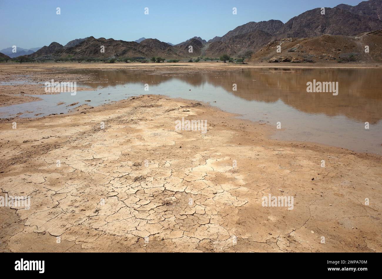 Desert landscape with cracked mud, puddle and dry mountains in Fujairah ...