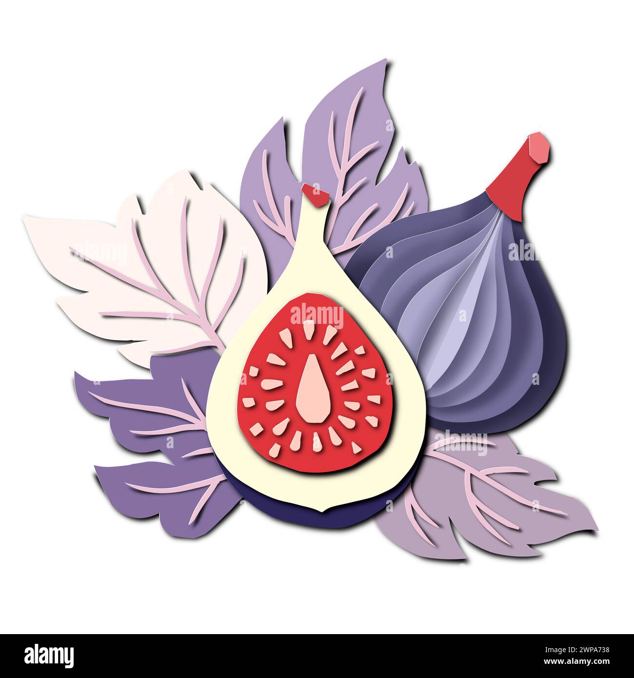 Cartoon whole and half figs in 3d paper cut style isolated on white background. Paper art and ...