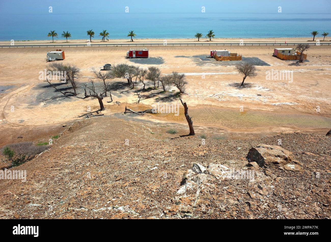 Dibba beach with line of palm trees and picnic area on seacoast of Gulf ...