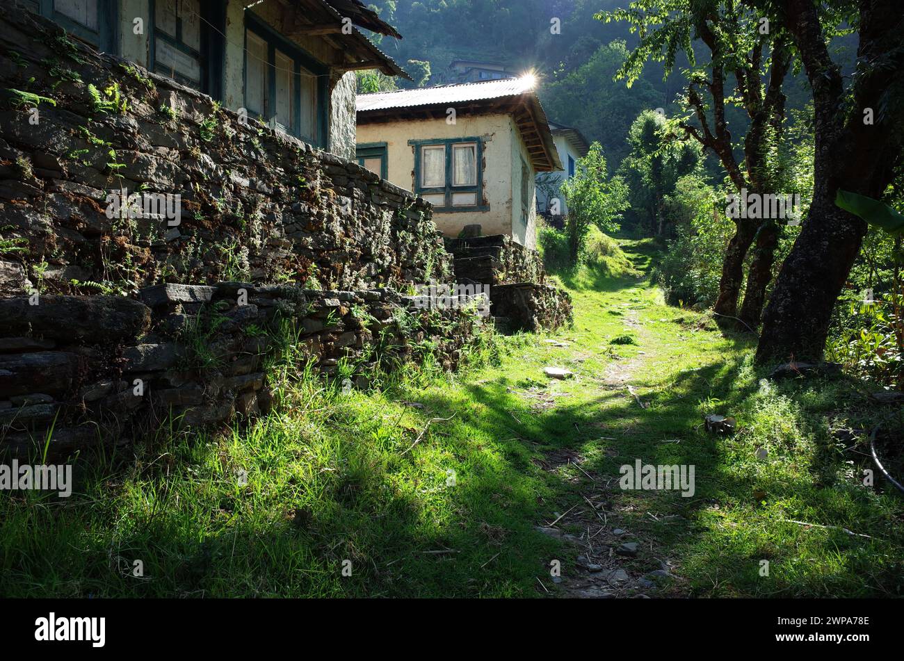 Trekking in Nepal Himalayas. Magic morning light on trail between Jiri ...