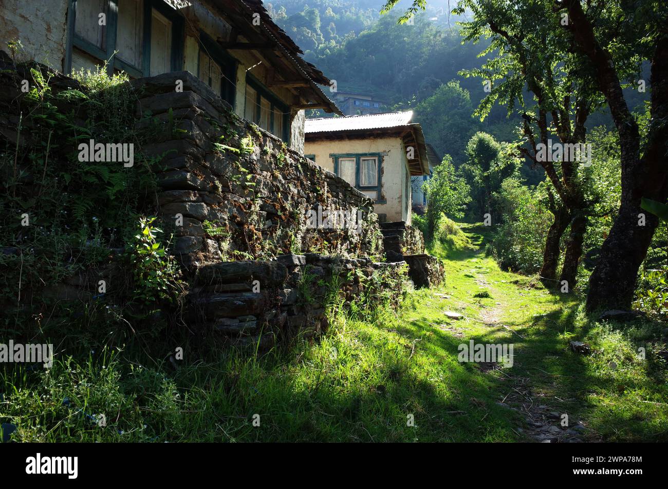 Trekking in Nepal Himalayas. Magic morning light on trail between Jiri ...