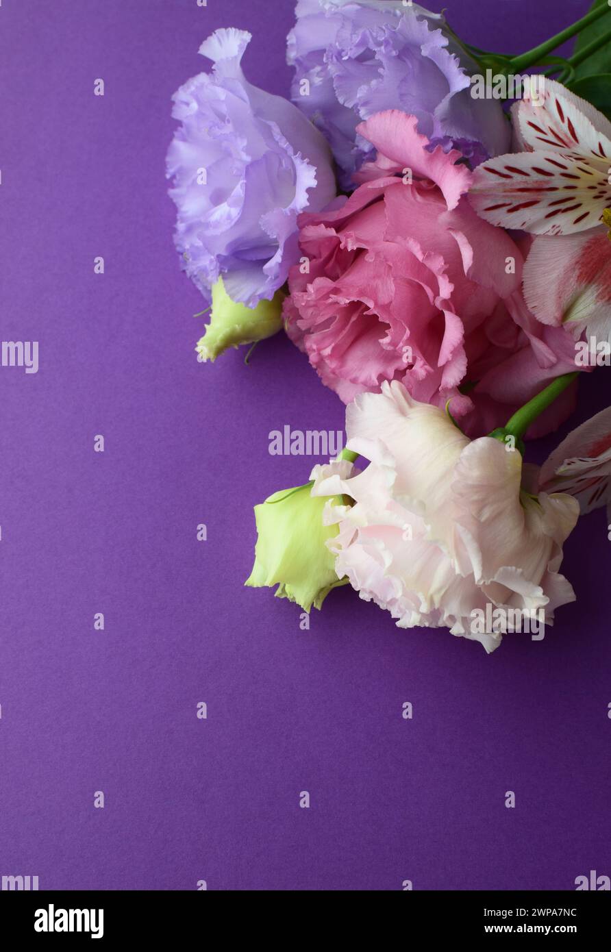 Beautiful flowers of eustoma (lisianthus) and alstroemeria. Bouquet of ...