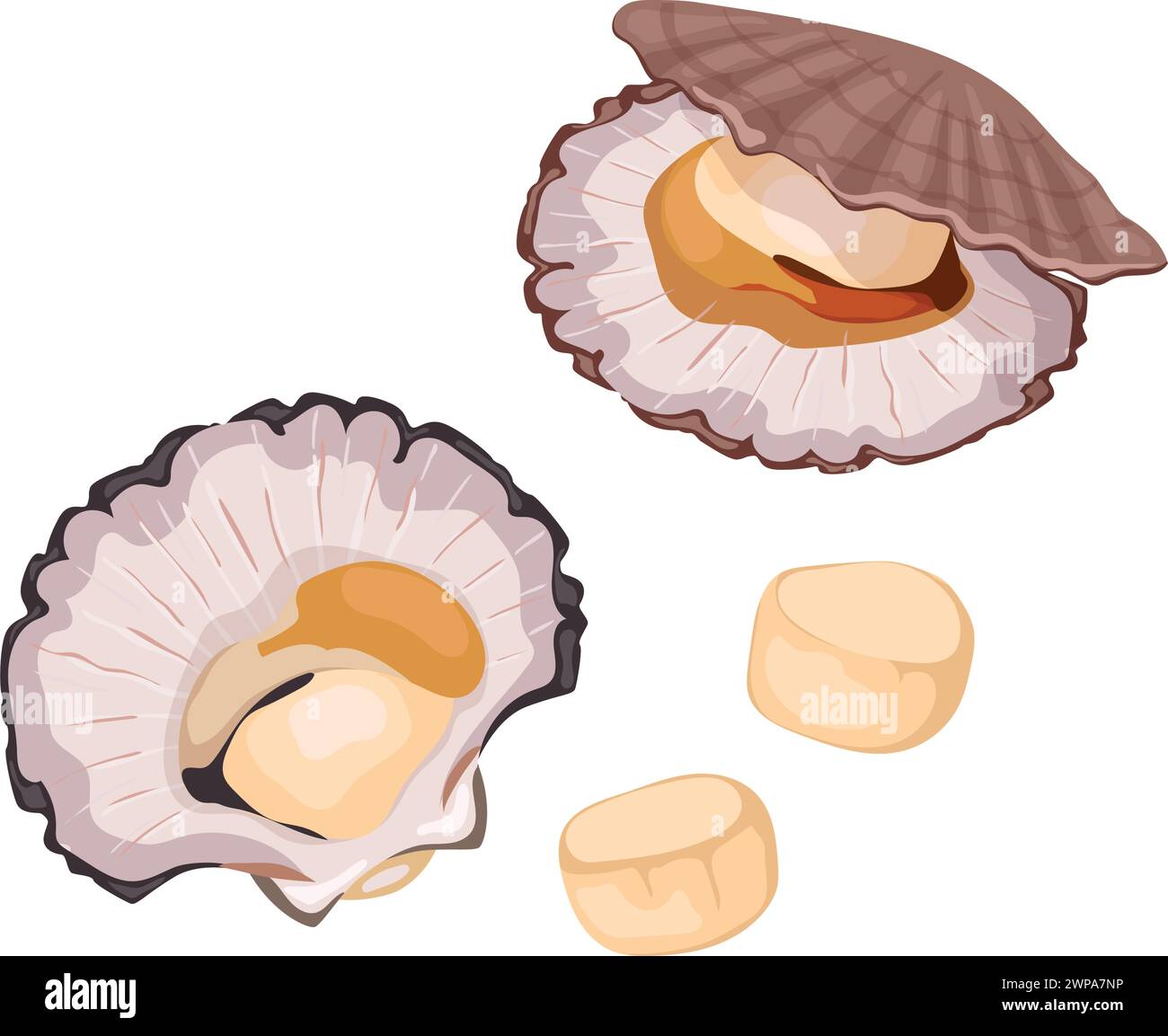 Pacific oyster cut out Stock Vector Images - Alamy