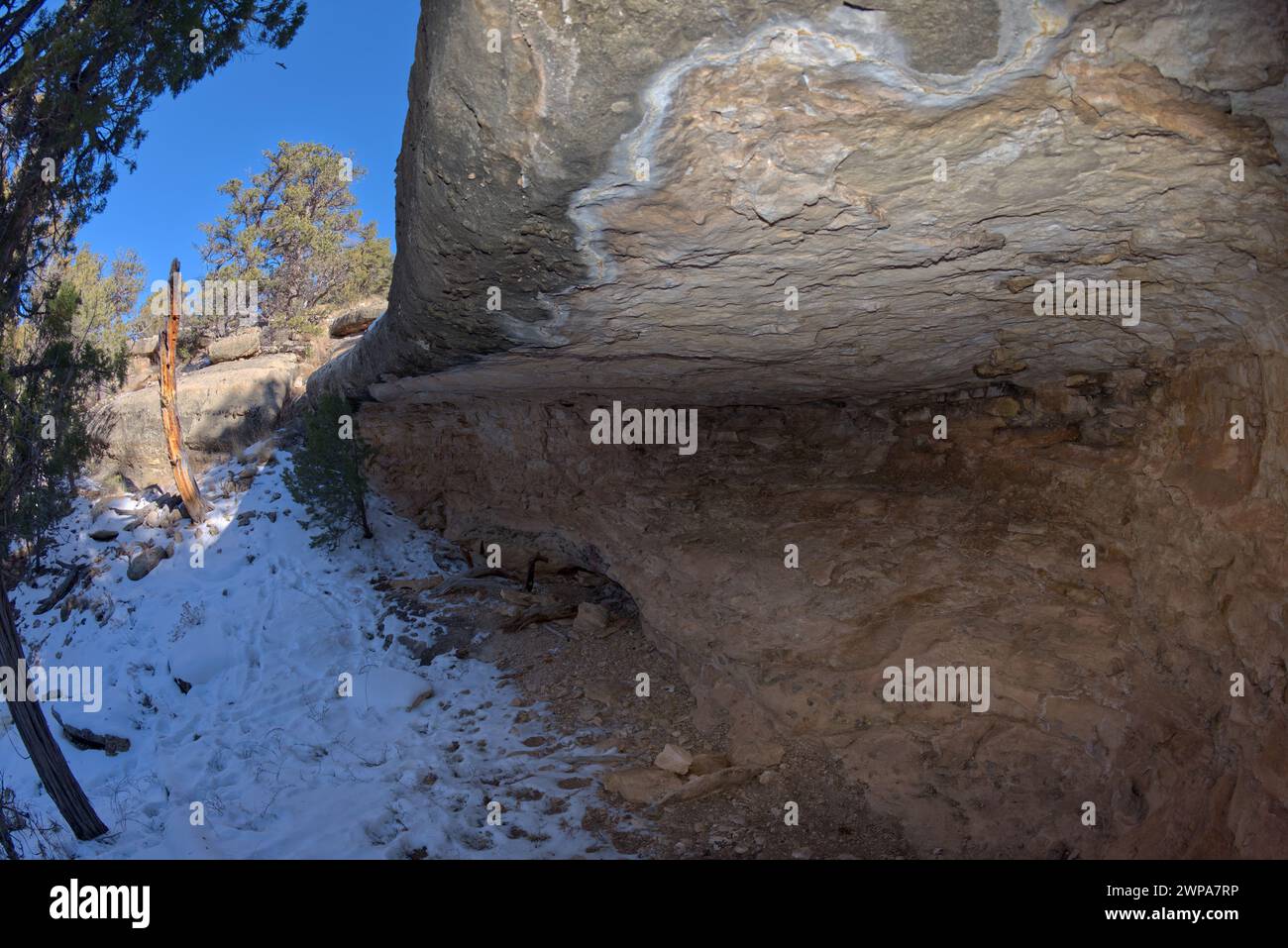 View from below a cliff ledge just west of Hermits Rest at Grand Canyon ...