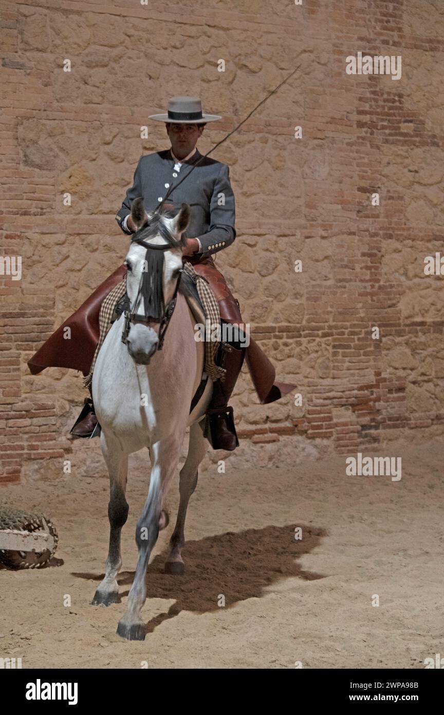 Las caballerizas reales de cordoba hi-res stock photography and images ...