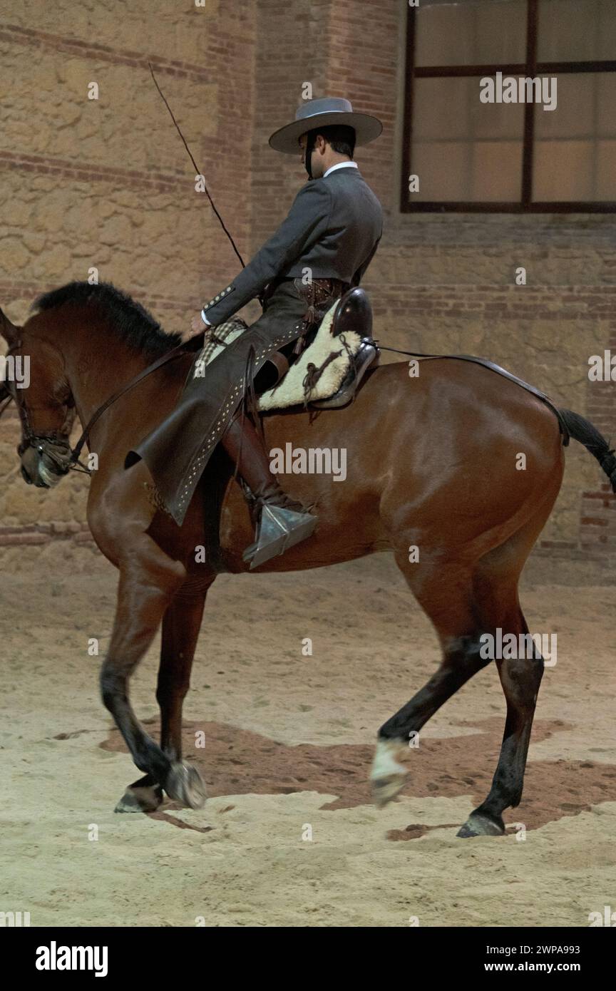 Las caballerizas reales de cordoba hi-res stock photography and images ...