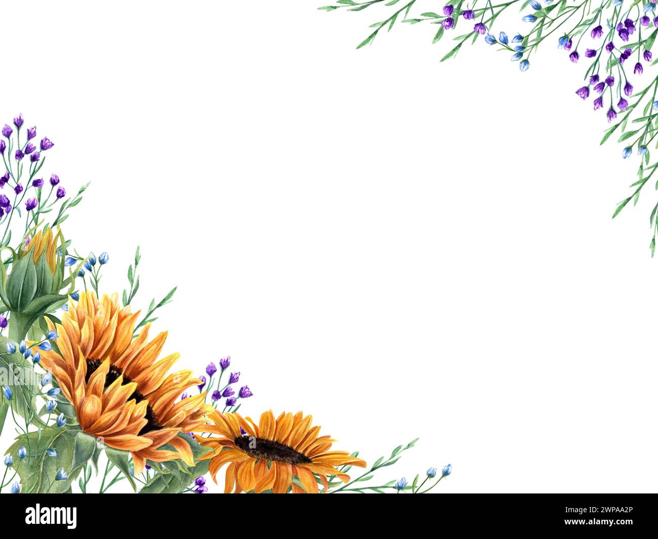 Horizontal frame with sunflowers, abstract meadow plants. Blue, purple ...