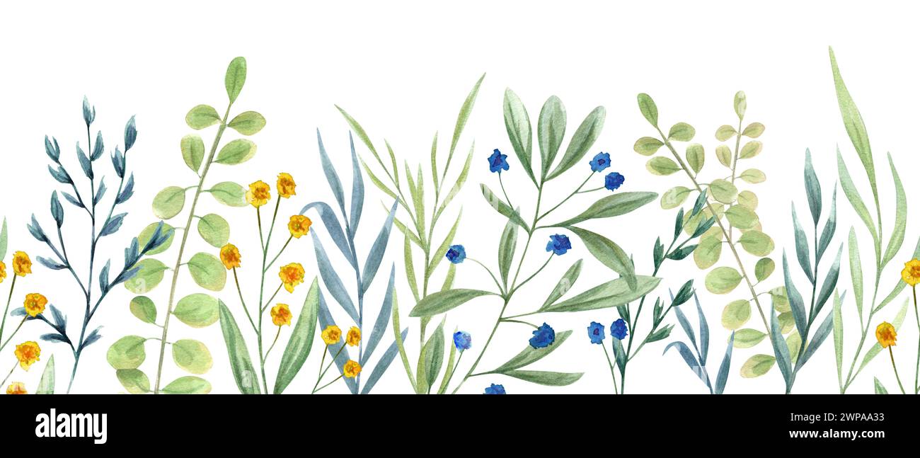 Meadow abstract herbs. Green plants. Blue, yellow flowers. Seamless ...