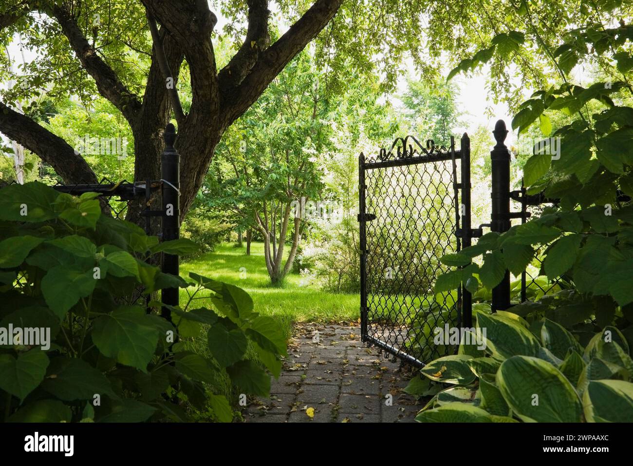 Gateway leading to tree hi-res stock photography and images - Alamy