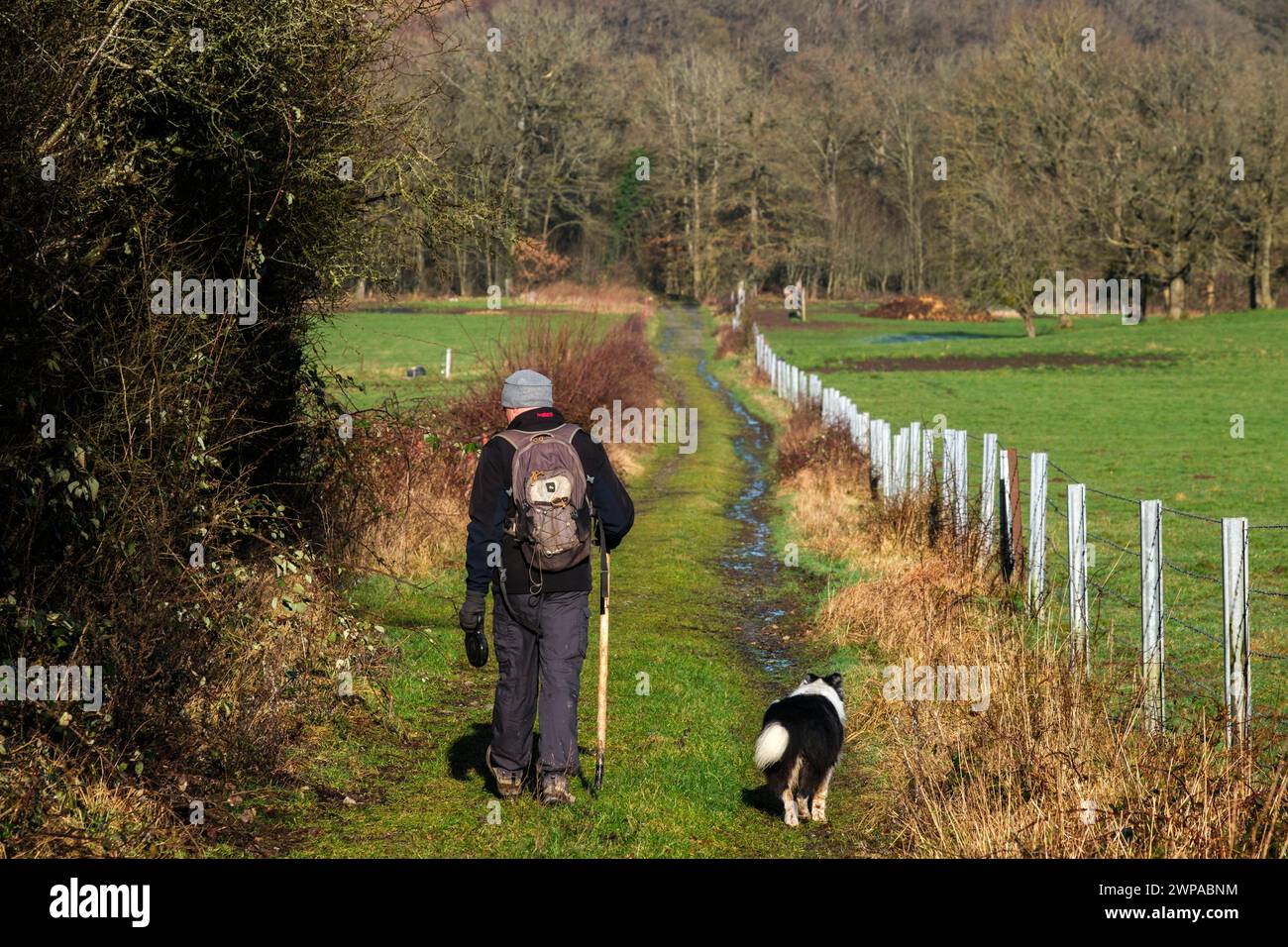 Walking or trailing with a dog on a countryside path | Marcher avec son ...