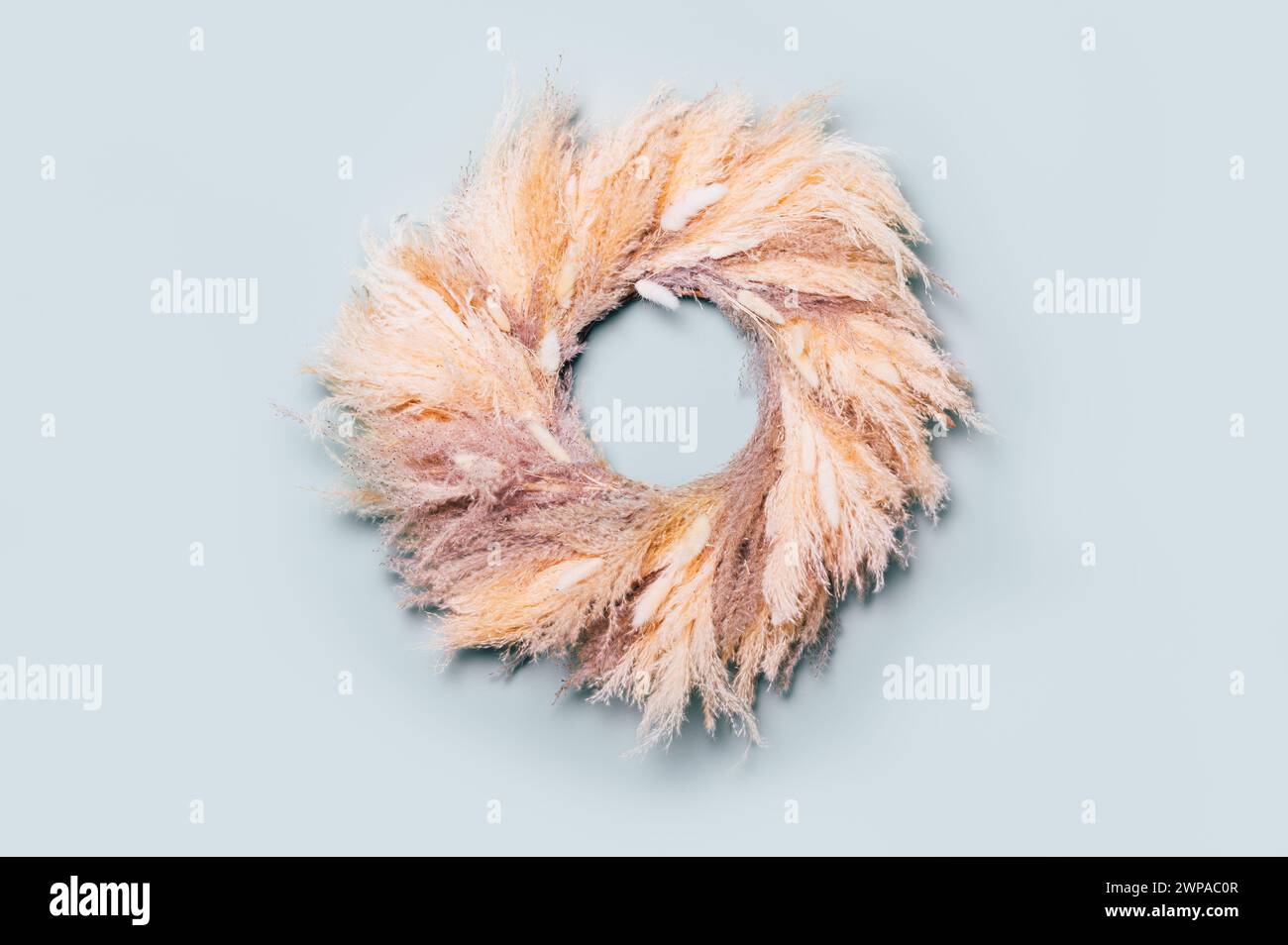 Pampas grass wreath hi-res stock photography and images - Alamy